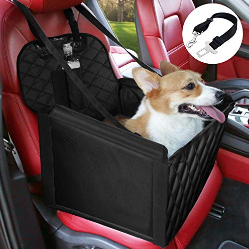 Die besten Hunde Autositze im Test - Vergleich 2019